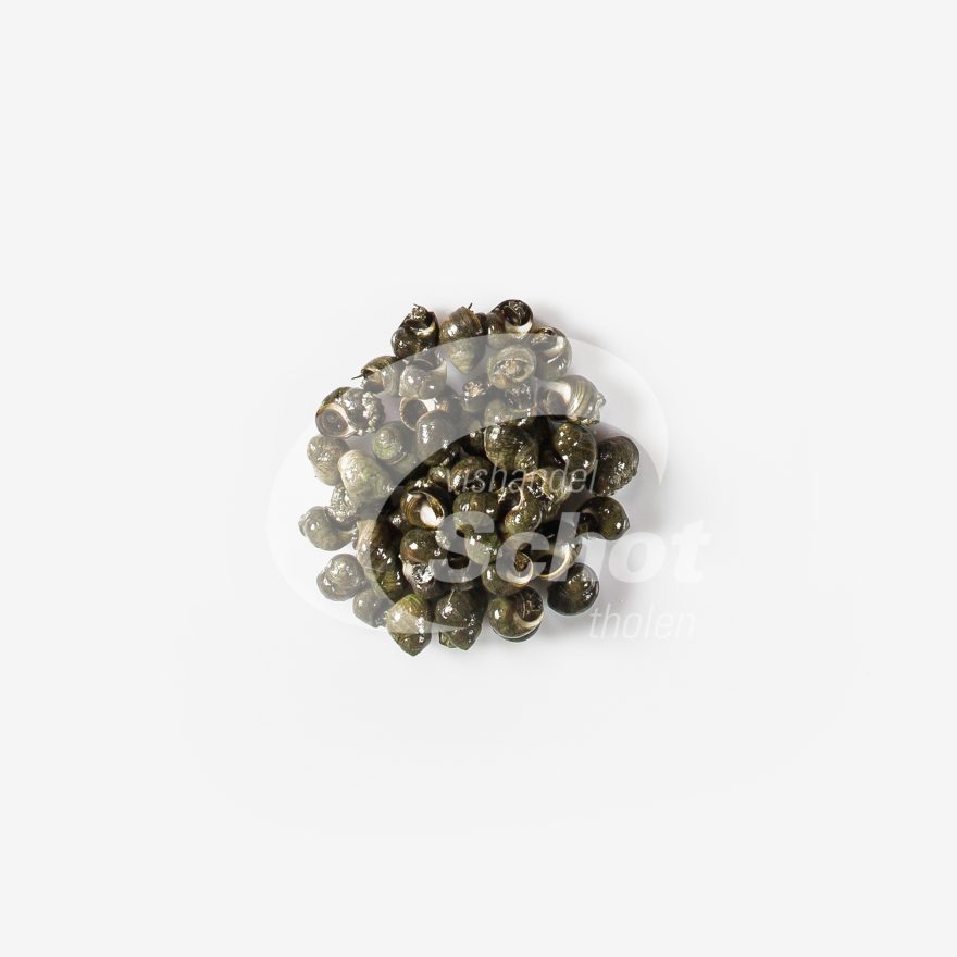 Alikruiken, kreukels - Vishandel Schot Tholen