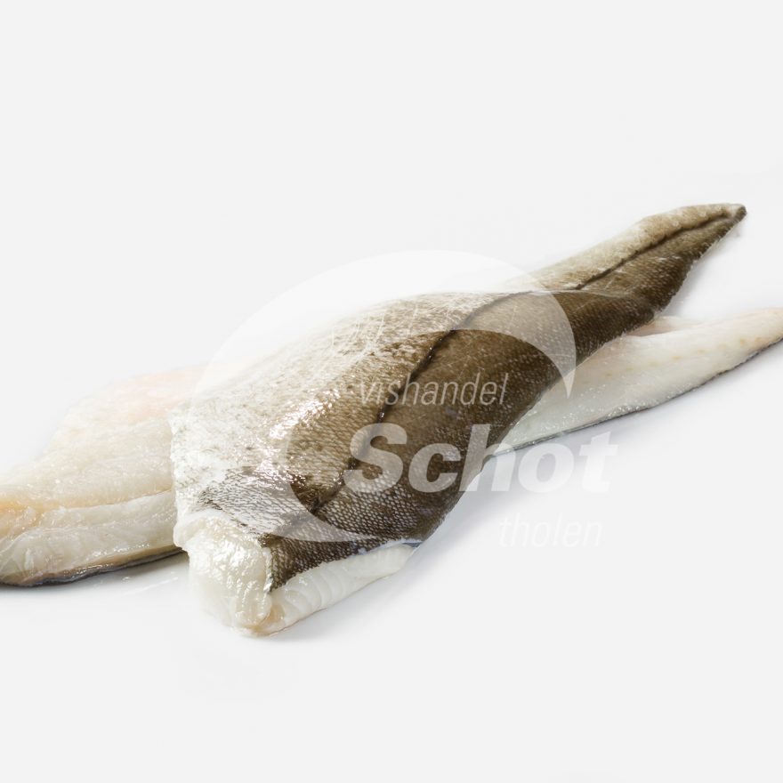 Schelvis - Vishandel Schot Tholen