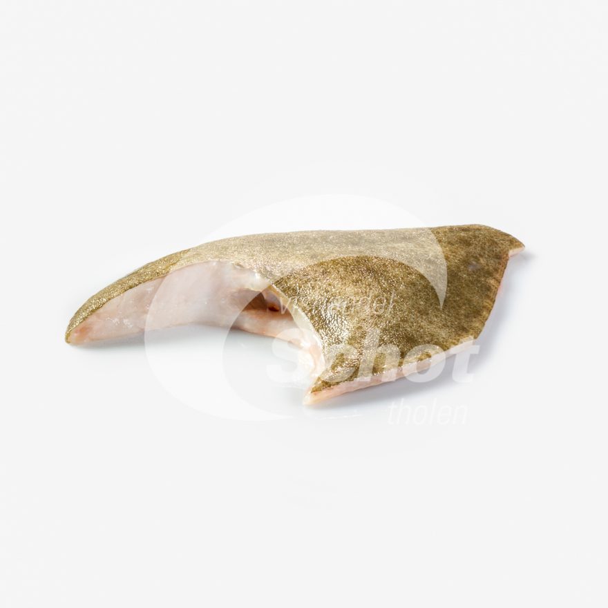 Tarbot - Vishandel Schot Tholen