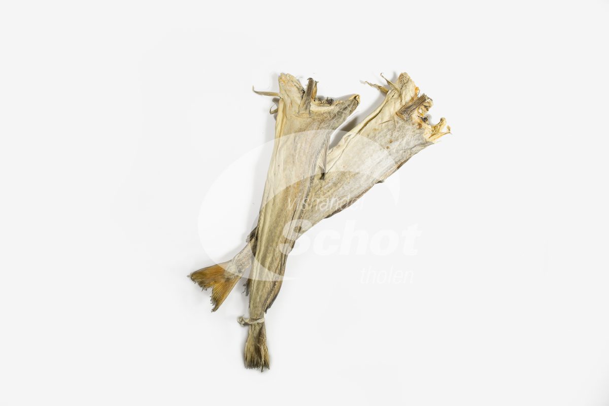 Stokvis - Vishandel Schot Tholen