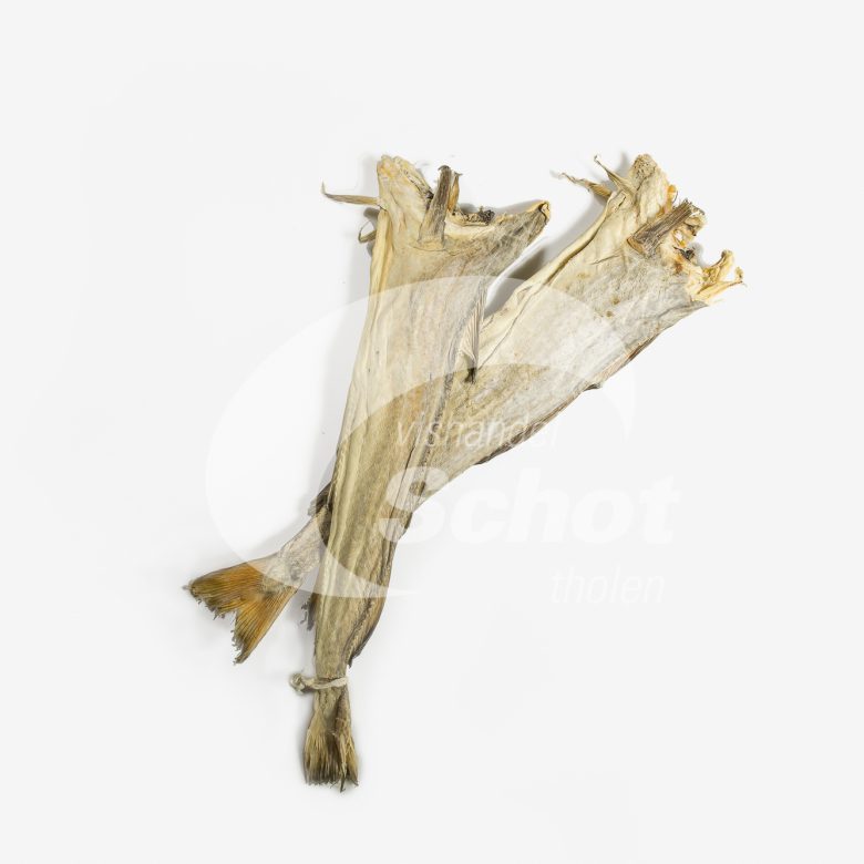 Stokvis - Vishandel Schot Tholen