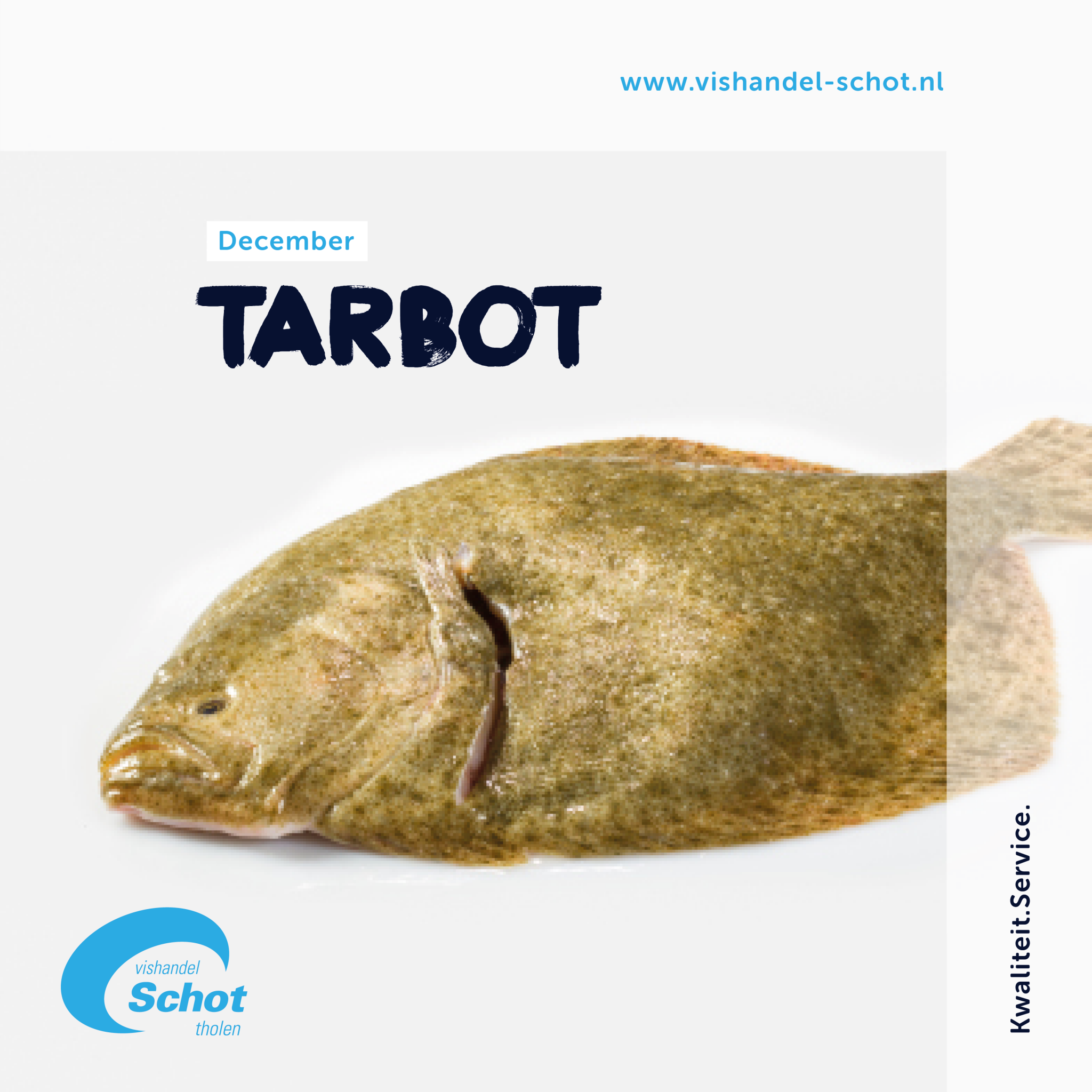 Vis van de maand december: Tarbot! - Vishandel Schot Tholen