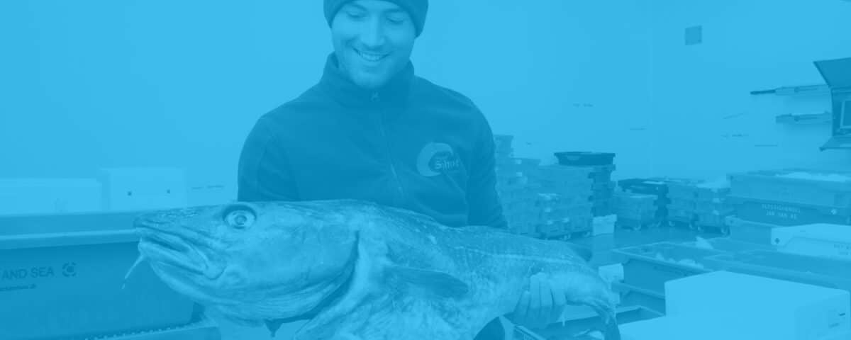 productie_web_joost - Vishandel Schot Tholen